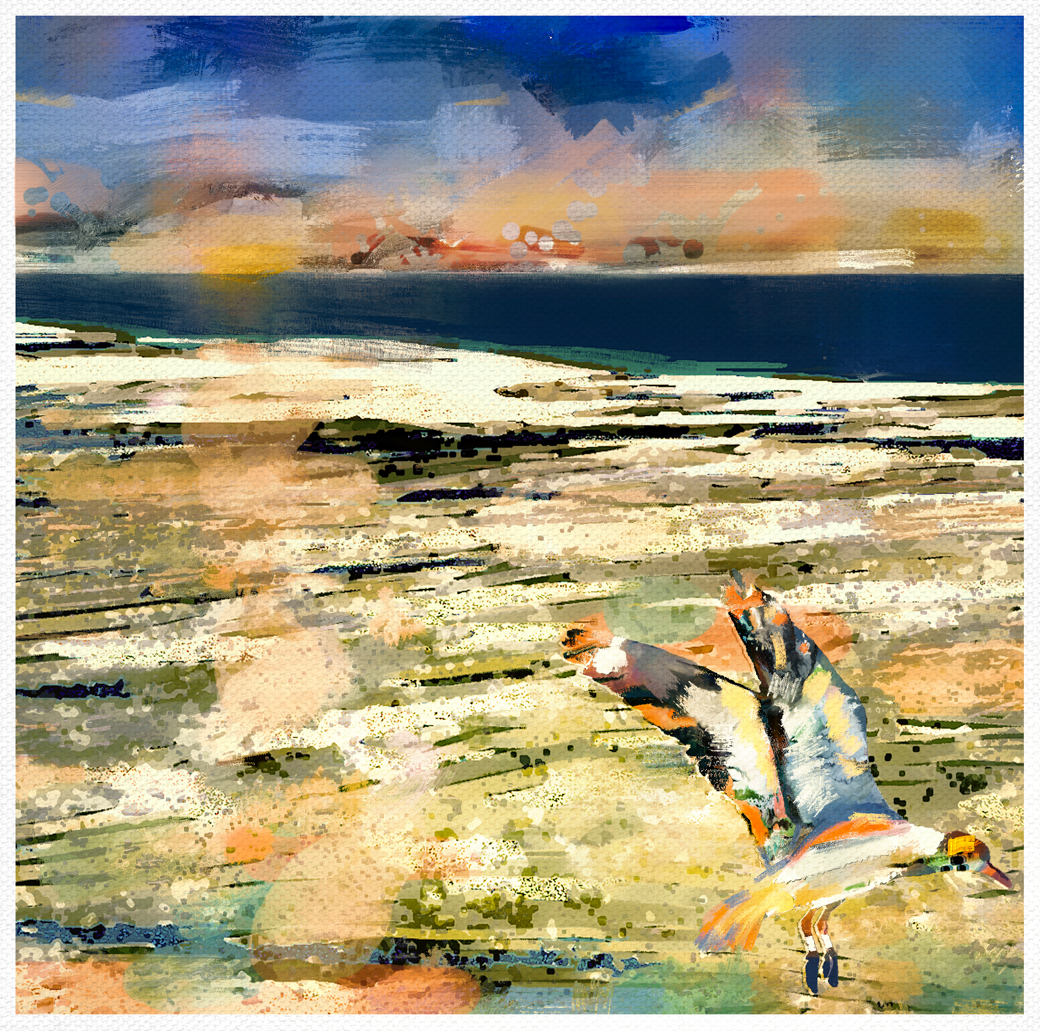 Visual Blog · Nicholas Thompson