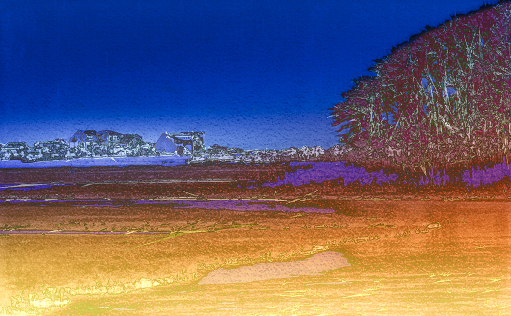 cape cod marshscape · Nicholas Thompson