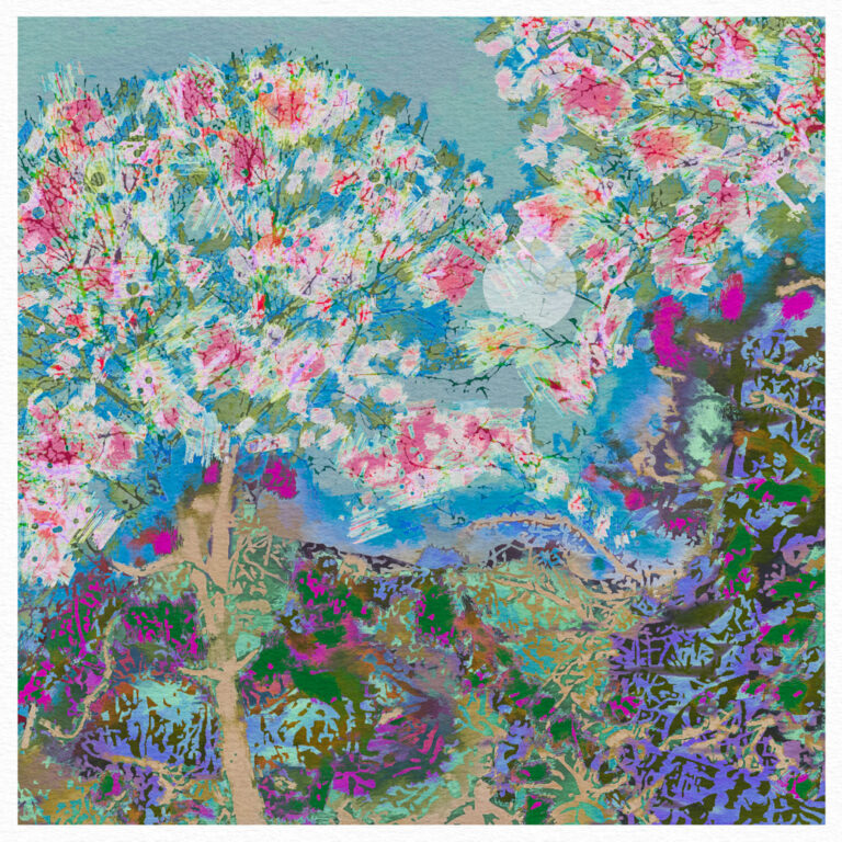 Visual Blog · Nicholas Thompson